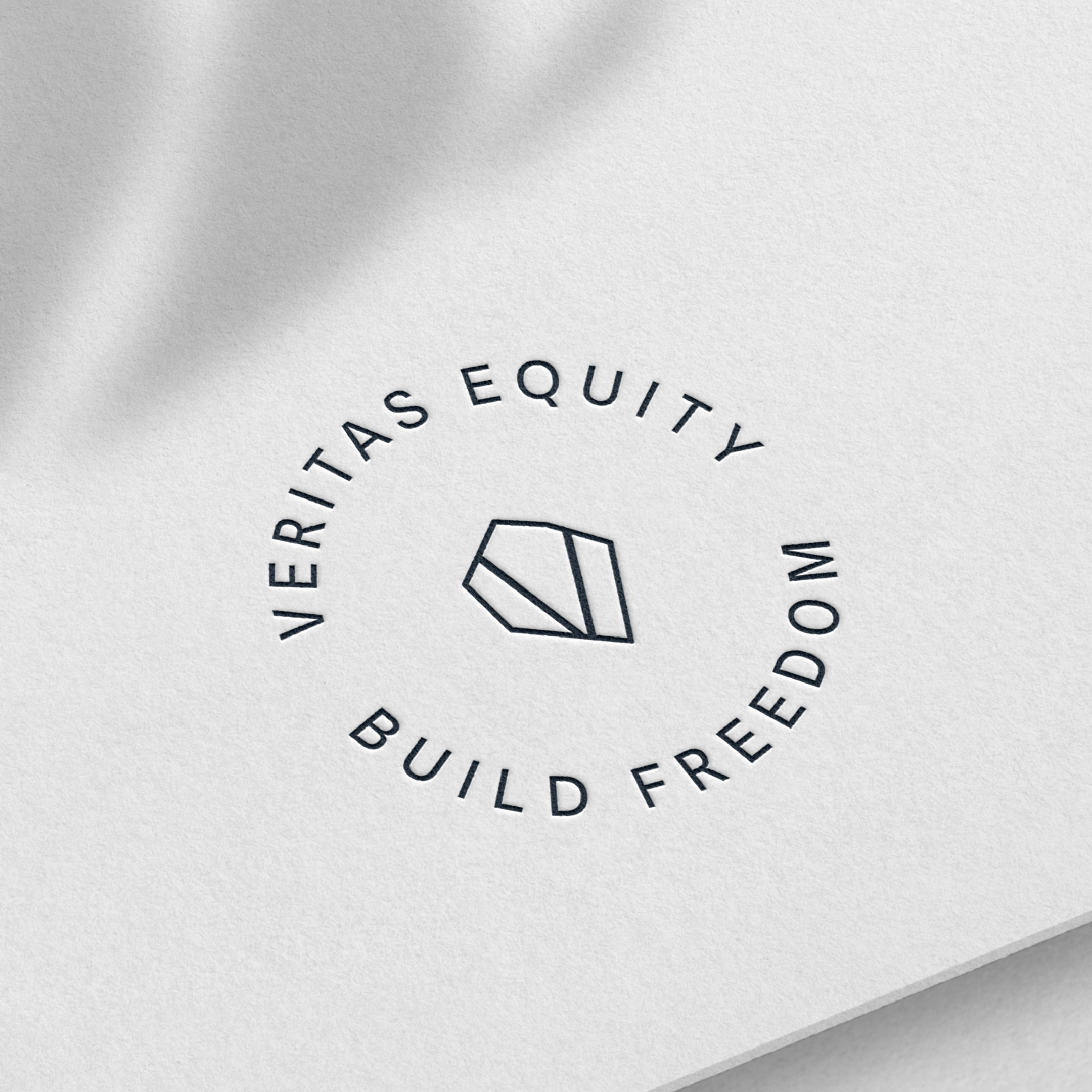 Veritas Equity - ArtSpeak Creative - ArtSpeak Creative